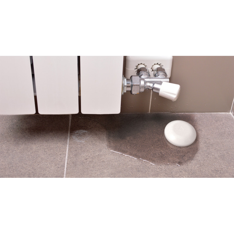 Shelly Flood - Leak and Temperature sensor